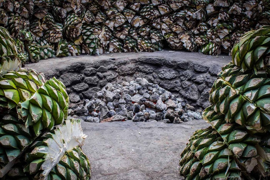 These are the new rules governing mezcal – DRiNK
