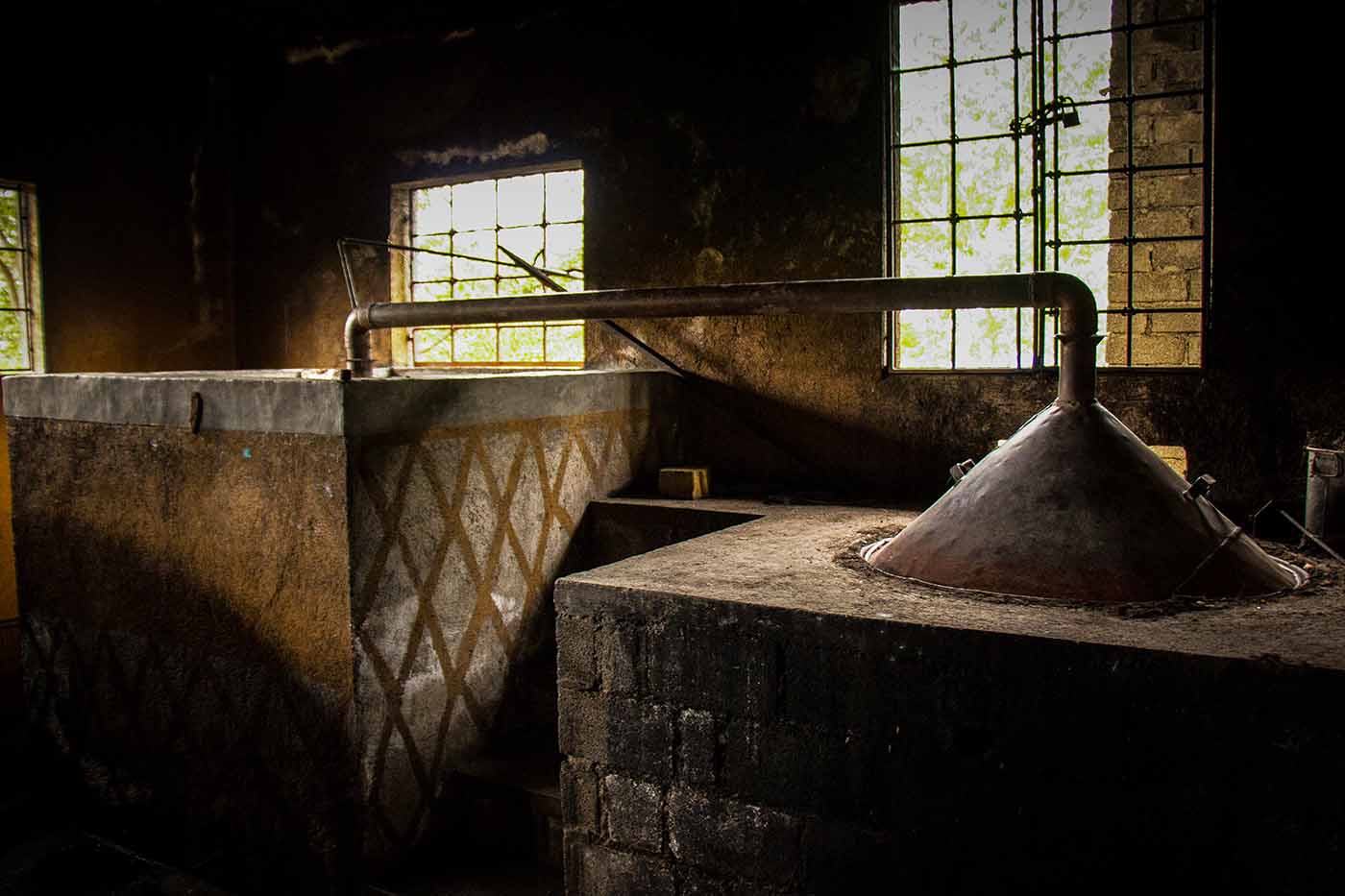 These are the new rules governing mezcal – DRiNK